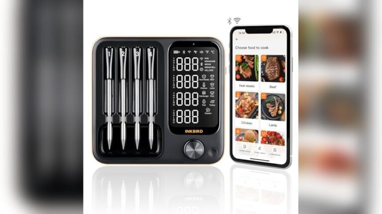 10 Best Wireless Meat Thermometer for Accurate BBQ, Grill, Oven Cooking ...